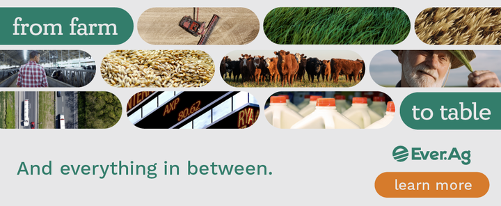 Home Page - Insights.Ever.Ag