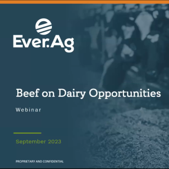 Beef on Dairy Webinar - September 14, 2023