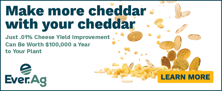 Home Page [insights.ever.ag]