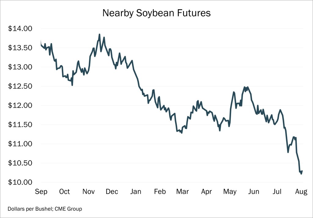 The Weekly Wire: Grain - August 2, 2024
