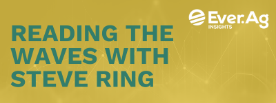 Reading the Waves with Steve Ring - November 16, 2024