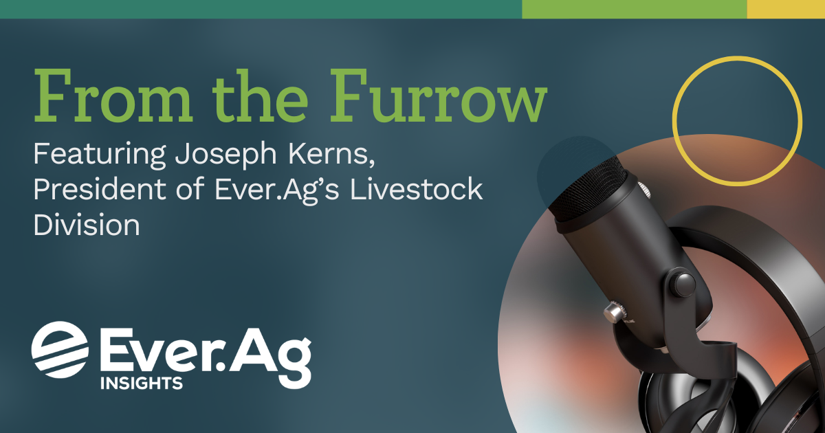 From the Furrow – Joe Kerns – November 22, 2024