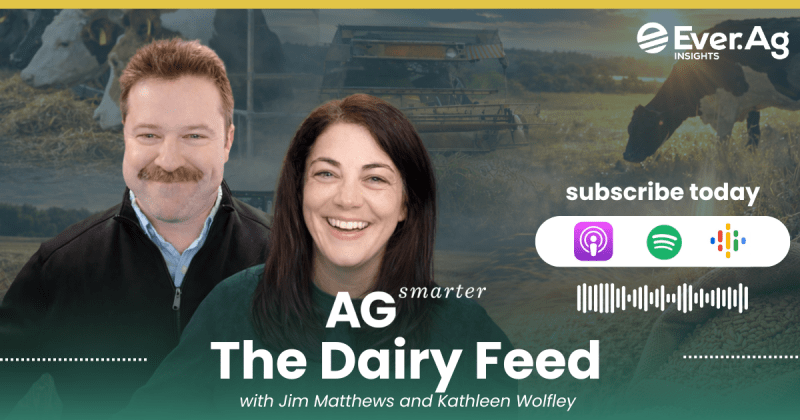The Dairy Feed: Feed Markets Stay Volatile as Fertilizer Concerns Loom ...